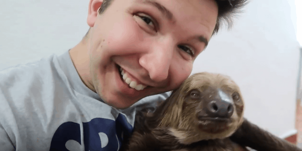 Nikocado Avocado got bit by his pet sloth – Starcasm