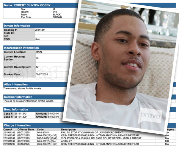 Mary Cosby’s son Robert Cosby Jr arrested for assault, trespassing and ...