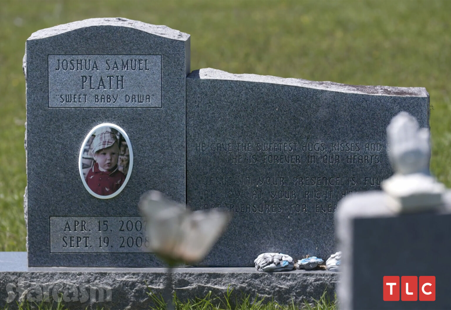 Lydia Plath on brother Joshua’s death: ‘I was in the car when it ...